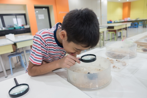 Have Faith and Experiment! - TeachBeyond Australia