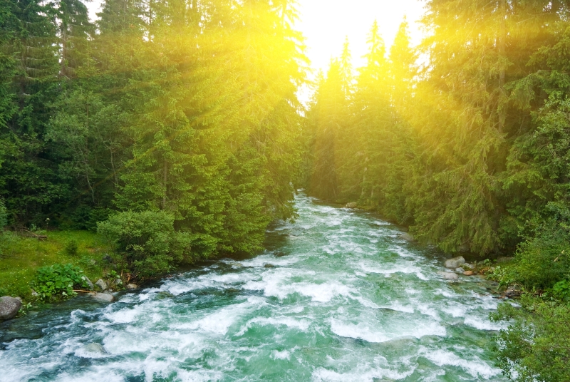 The Inescapable Lens: Why Worldview Matters to Christian Education ...